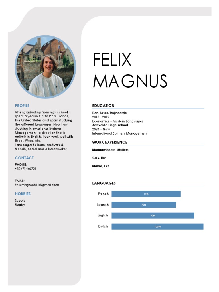 CV Felix Magnus | PDF