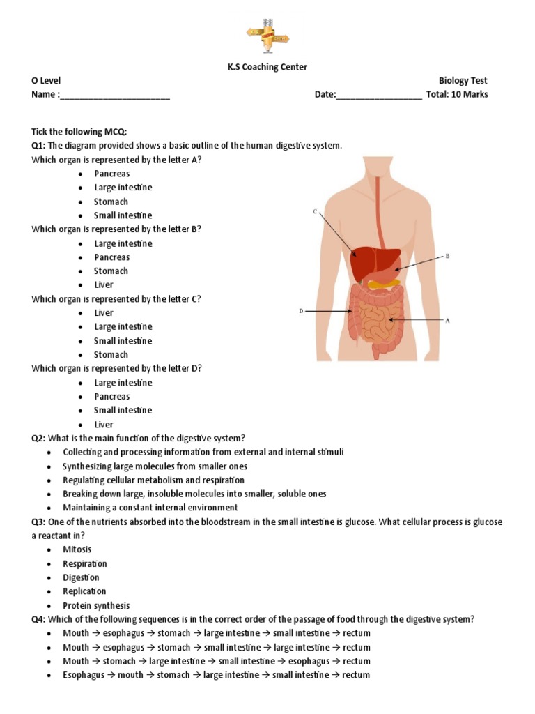 O Level MCQ Test On Digestive System | PDF | Gastrointestinal Tract ...