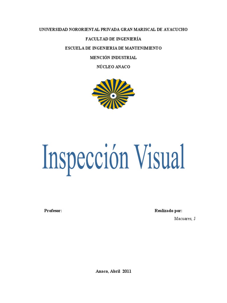 Inspeccion Visual | PDF | Ojo humano | Ligero