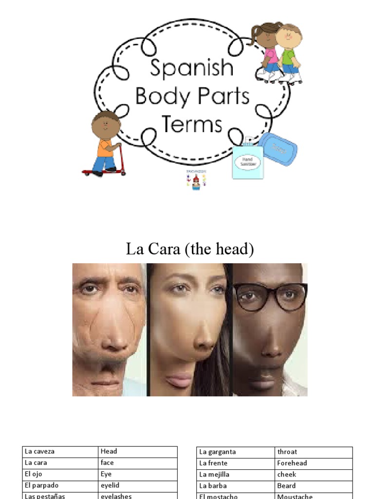 BODY PARTS in Spanish | PDF