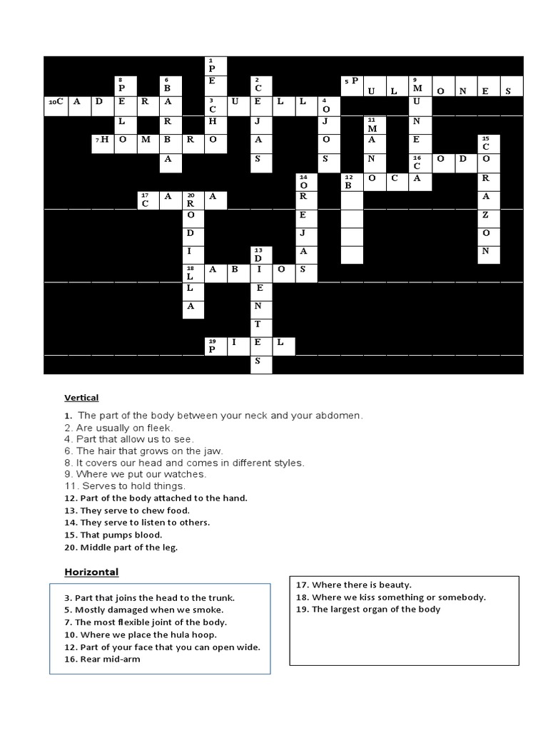 Crossword Puzzle Body Parts | PDF