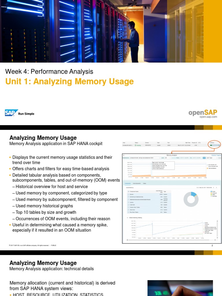 Unit 1: Analyzing Memory Usage: Week 4: Performance Analysis | PDF | Computing | Computer Science