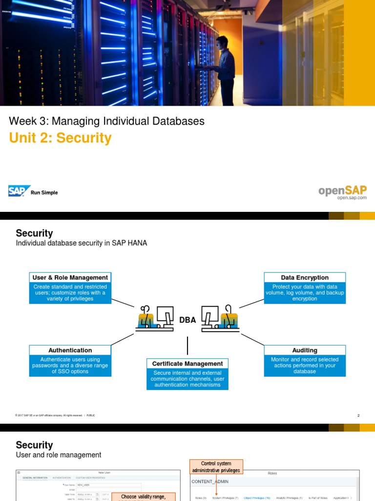 Unit 2: Security: Week 3: Managing Individual Databases | PDF ...