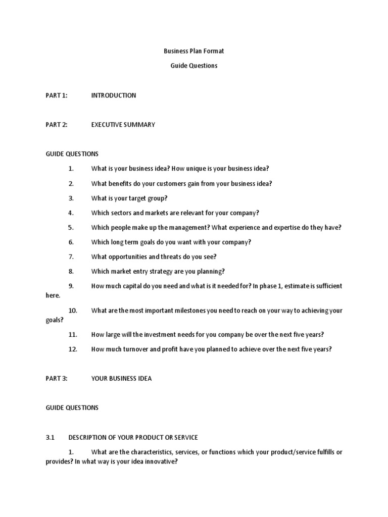 Business Plan Guide Questions | PDF | Sales | Target Audience