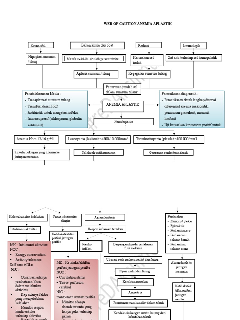 Woc Anemia Aplastik | PDF