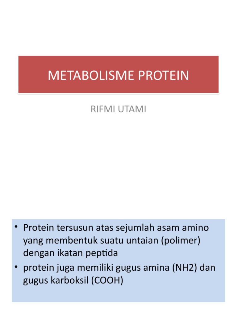 Metabolisme Protein | PDF