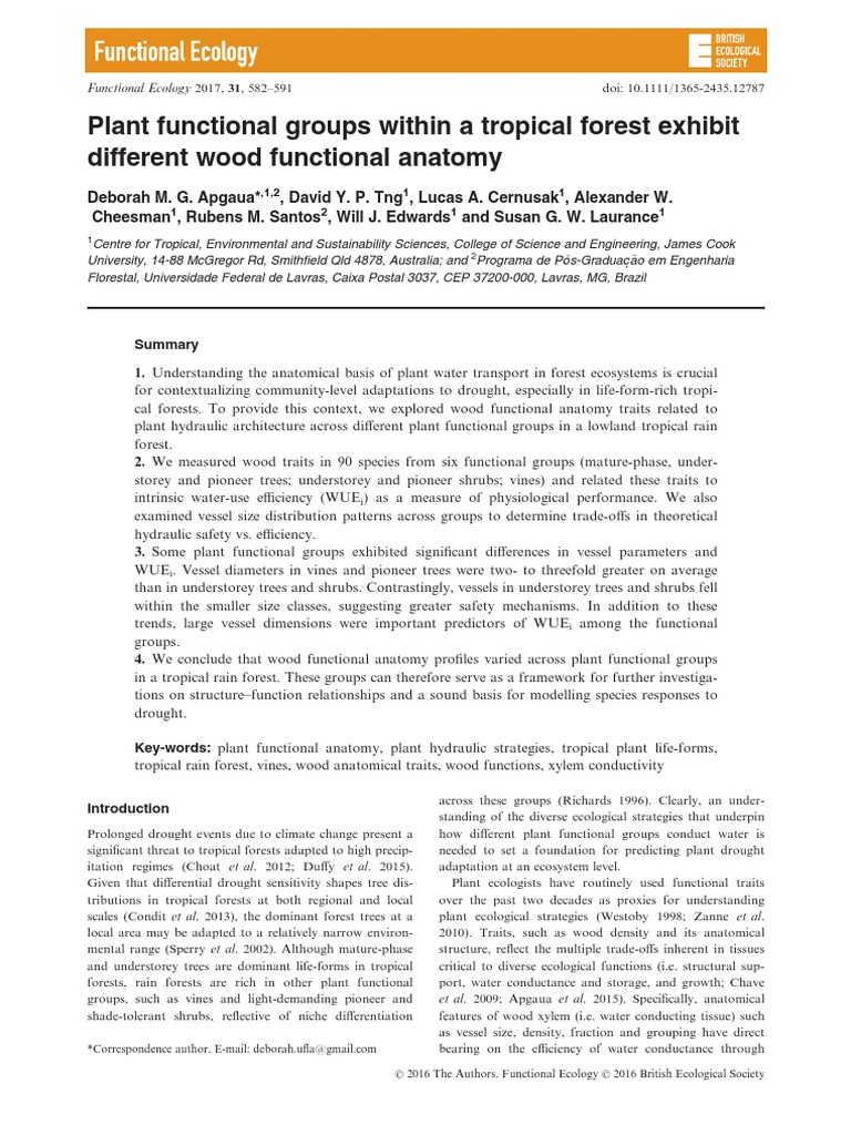 Plant Functional Groups Within A Tropical Forest Exhibit Different Wood ...