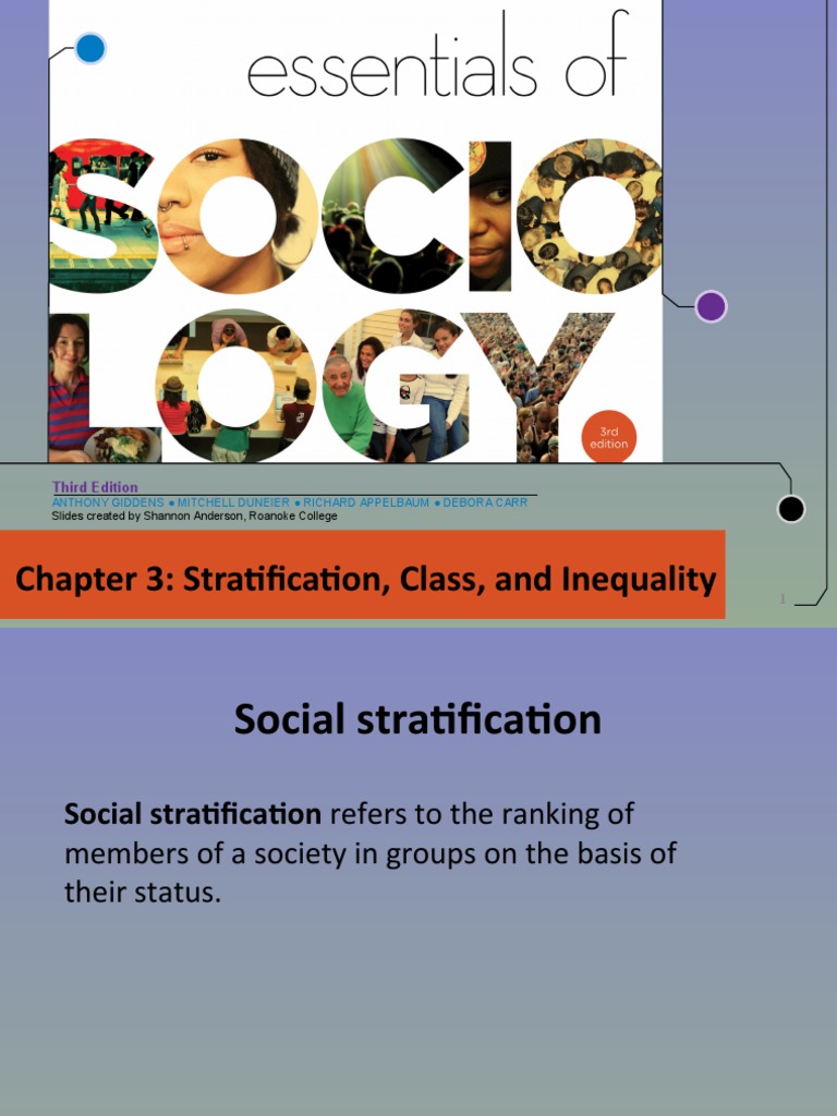 Chapter 3 Social Stratification | PDF | Social Mobility | Social ...