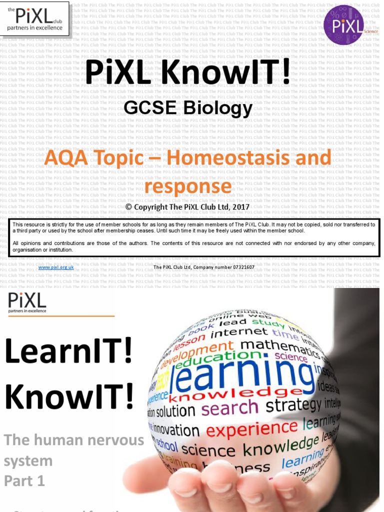 Pixl Knowit!: Gcse Biology | PDF | Neuron | Central Nervous System