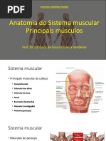 Nomes de 100 Músculos Do Corpo Humano | PDF | Sistema Locomotor ...