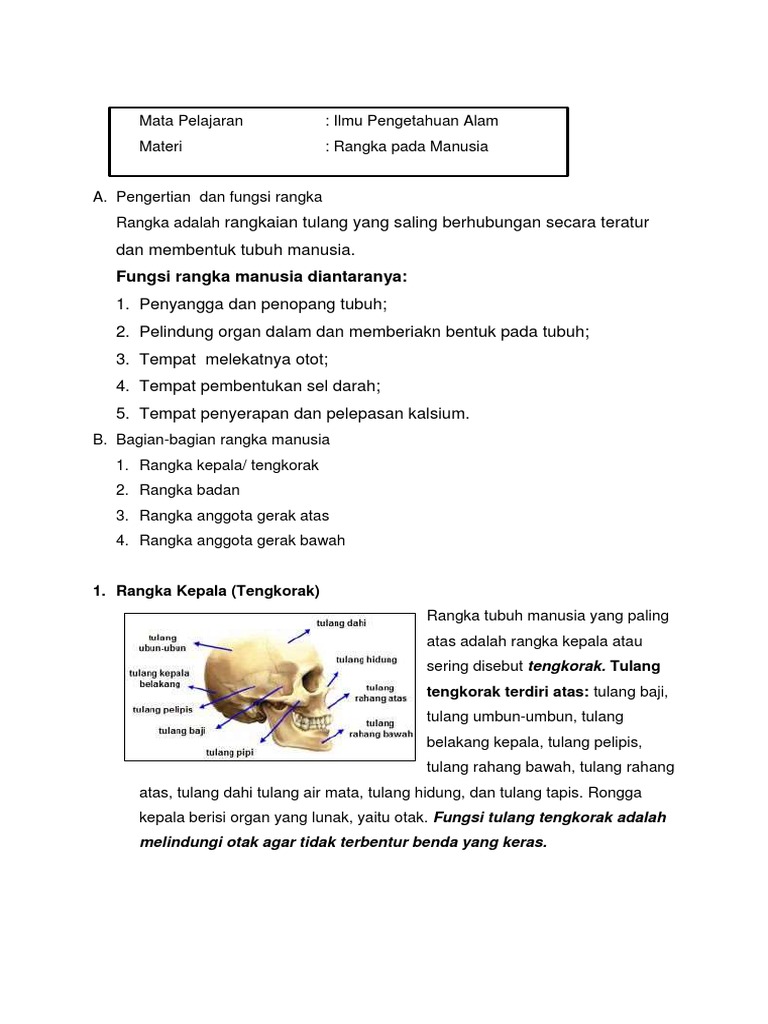 Modul 1 IPA KELAS 5 Fix | PDF