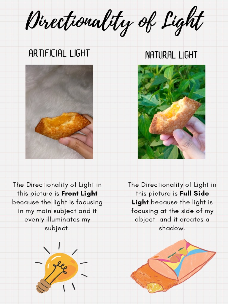 Directionality of Light | PDF
