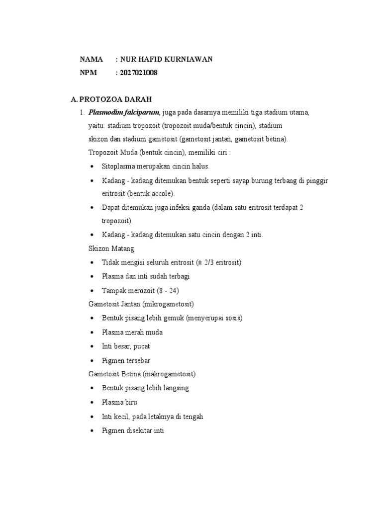 Identifikasi dan Pemeriksaan Protozoa Darah dan Usus | PDF | Griya ...