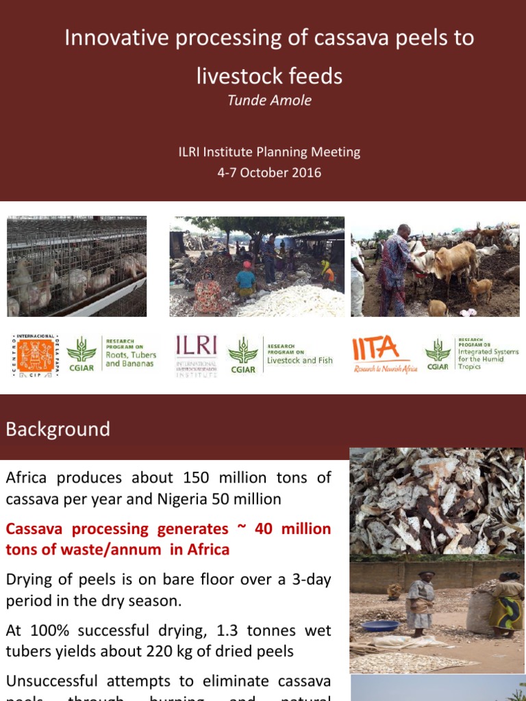 Innovative Processing of Cassava Peels To Livestock Feeds: Tunde Amole ...
