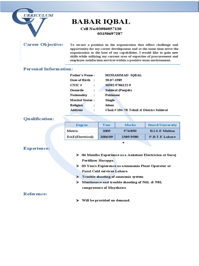 Babar Iqbal: Career Objective | PDF