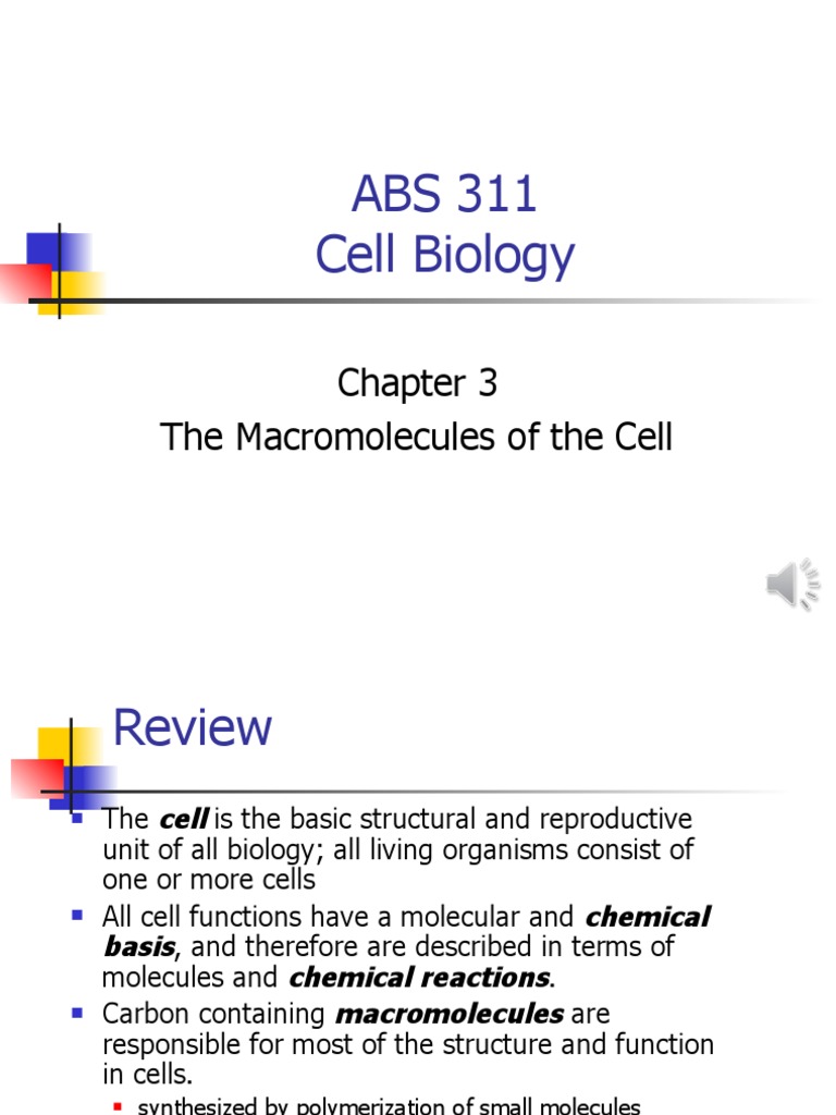 ABS 311 Cell Biology: The Macromolecules of The Cell | PDF | Protein ...