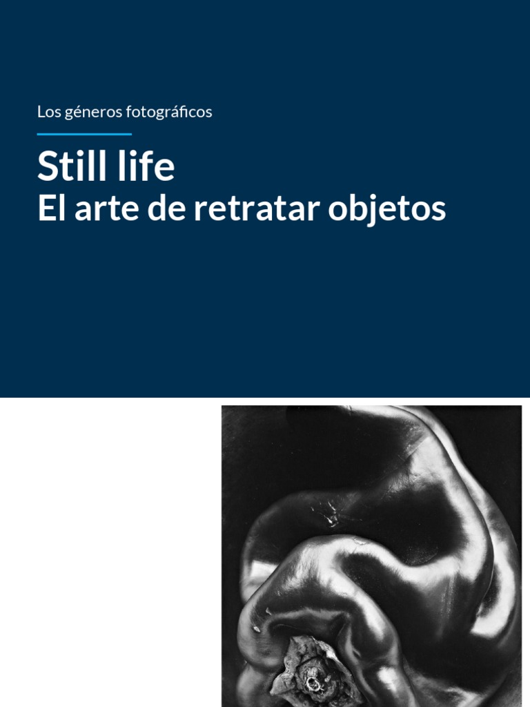 Still Life El Arte de Retratar Objetos | PDF