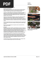 CBC Lesson Plan | PDF