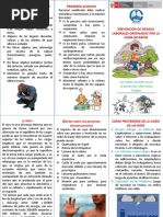 Triptico Brigadas | PDF | Emergencia | Valores