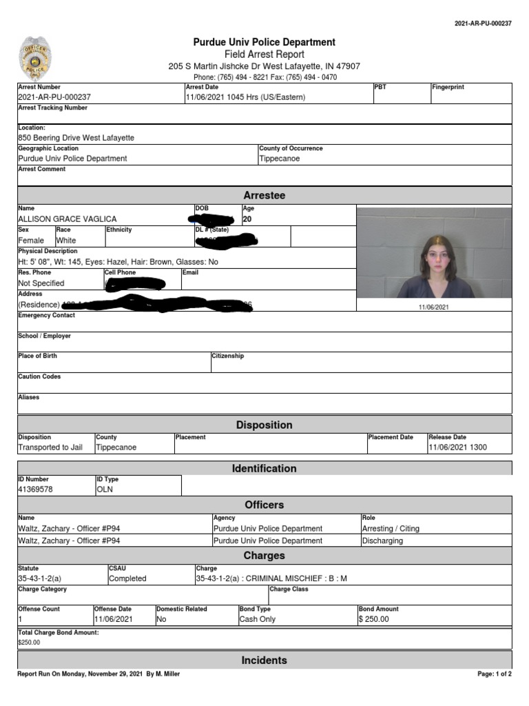 Arrest Report For Allison Vaglica | PDF | Public Law | Government