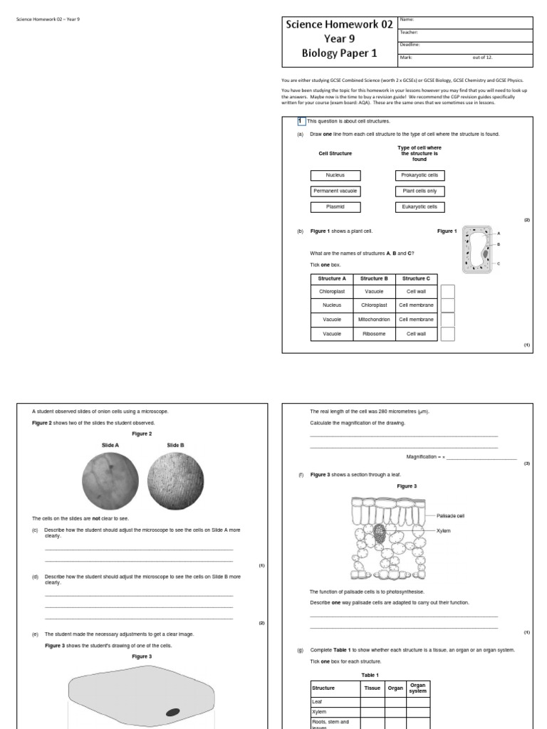 KS4 Homework 02 Year 9 | PDF | Cell (Biology) | Tissue (Biology)