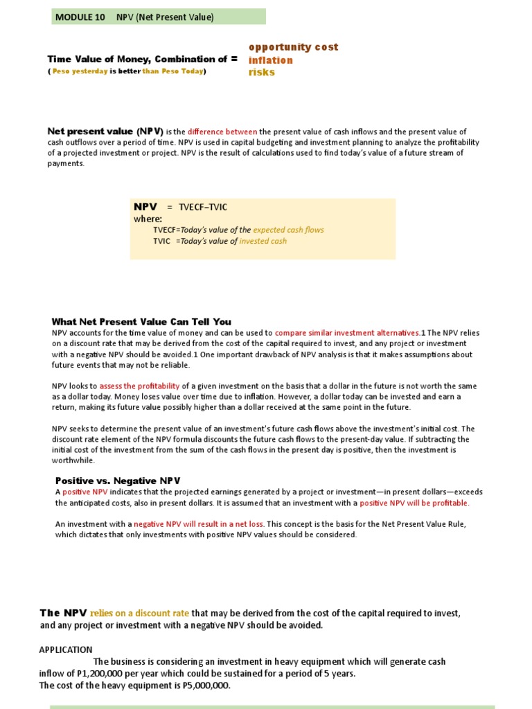 Understanding Net Present Value Analysis | PDF | Net Present Value ...