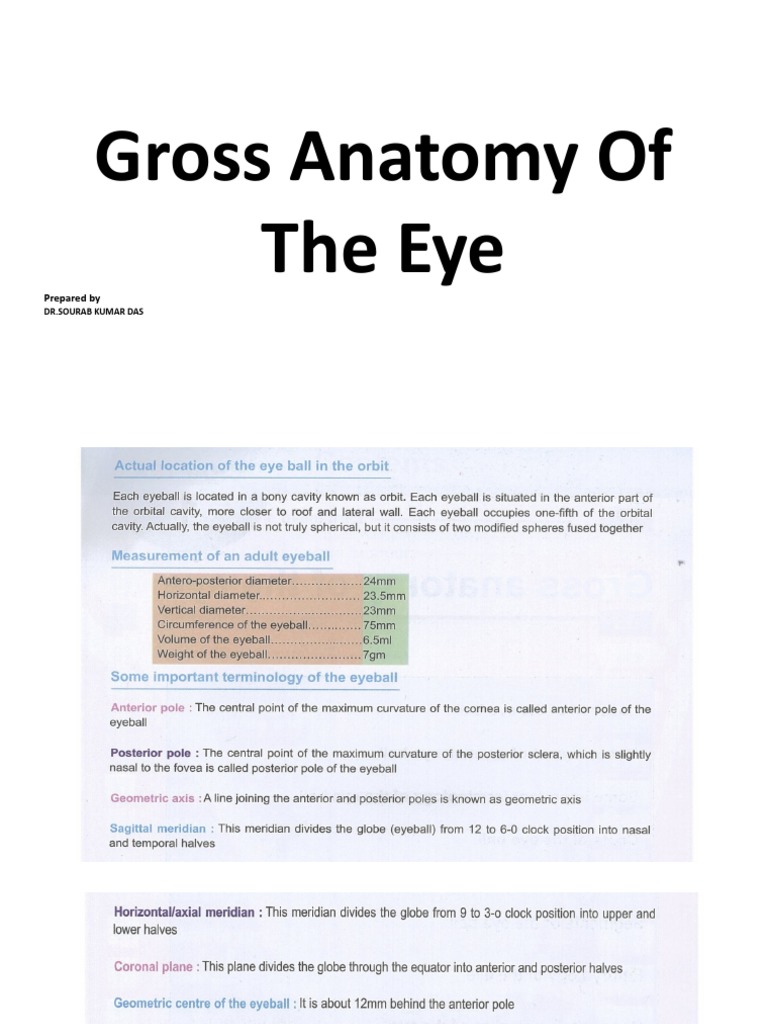 Gross Anatomy of The Eye JHK | PDF