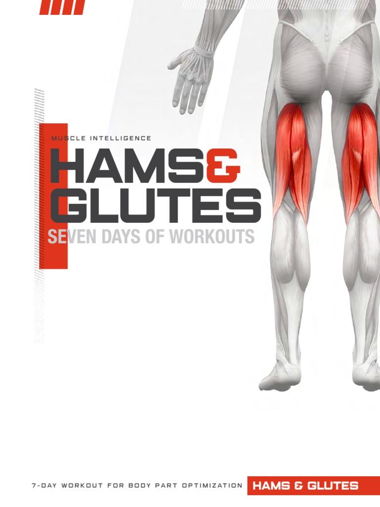 Hams Glutes: Seven Days of Workouts | PDF | Muscle | Breathing