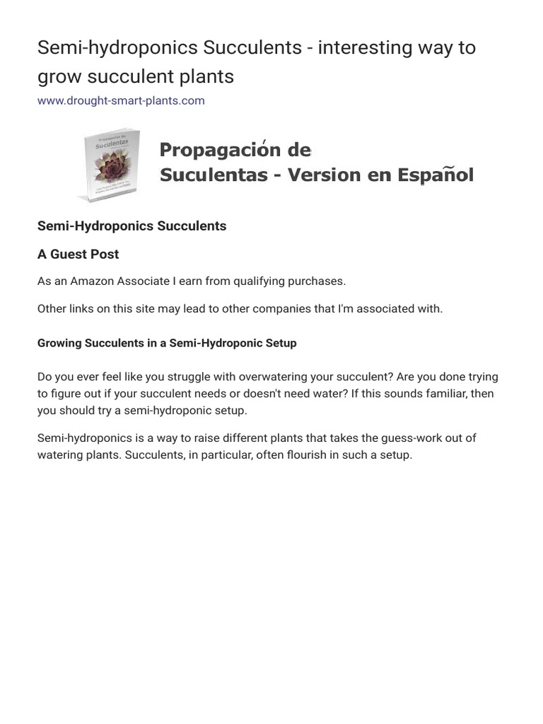 Semi-Hydroponics Succulents - Interesting Way To Grow Succulent Plants ...