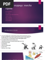 Marcha Steppage: Causas y Tratamiento | PDF | Electromiografia ...