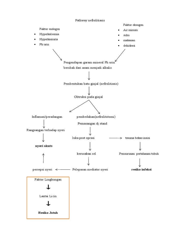 Pathway Nefrolitiasis Baru | PDF