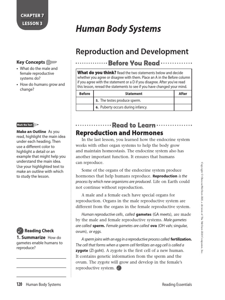 Lesson 3 Reproduction and Development | PDF | Reproductive System ...