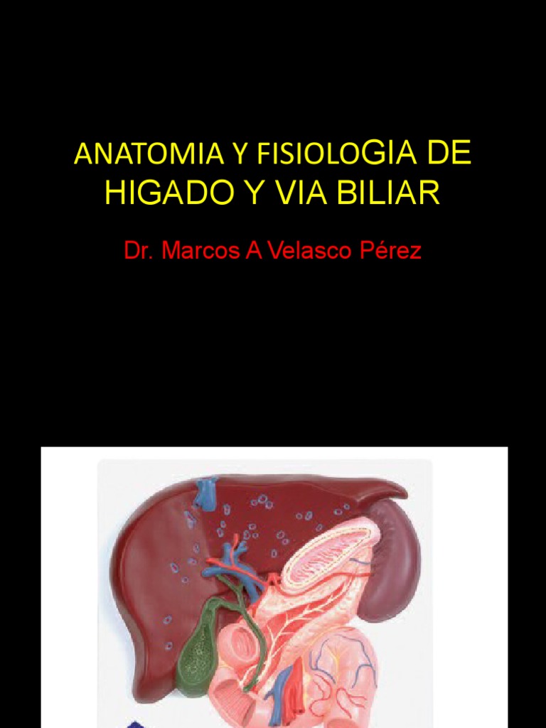 Anatomia y Fisiologia de Higado y via Biliar
