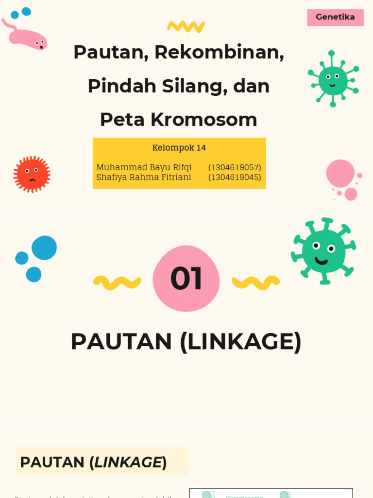 Pautan Gen, Rekombinasi, dan Peta Kromosom | PDF | Sains & Matematika