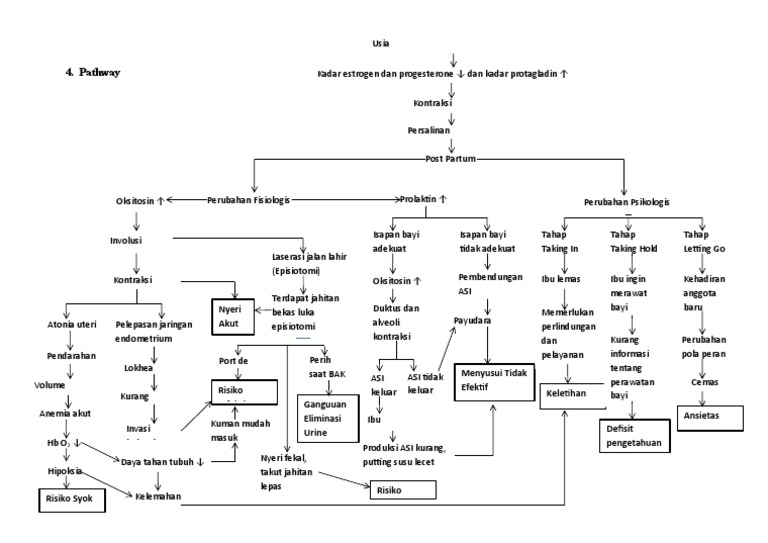 Pathway Post Partum | PDF