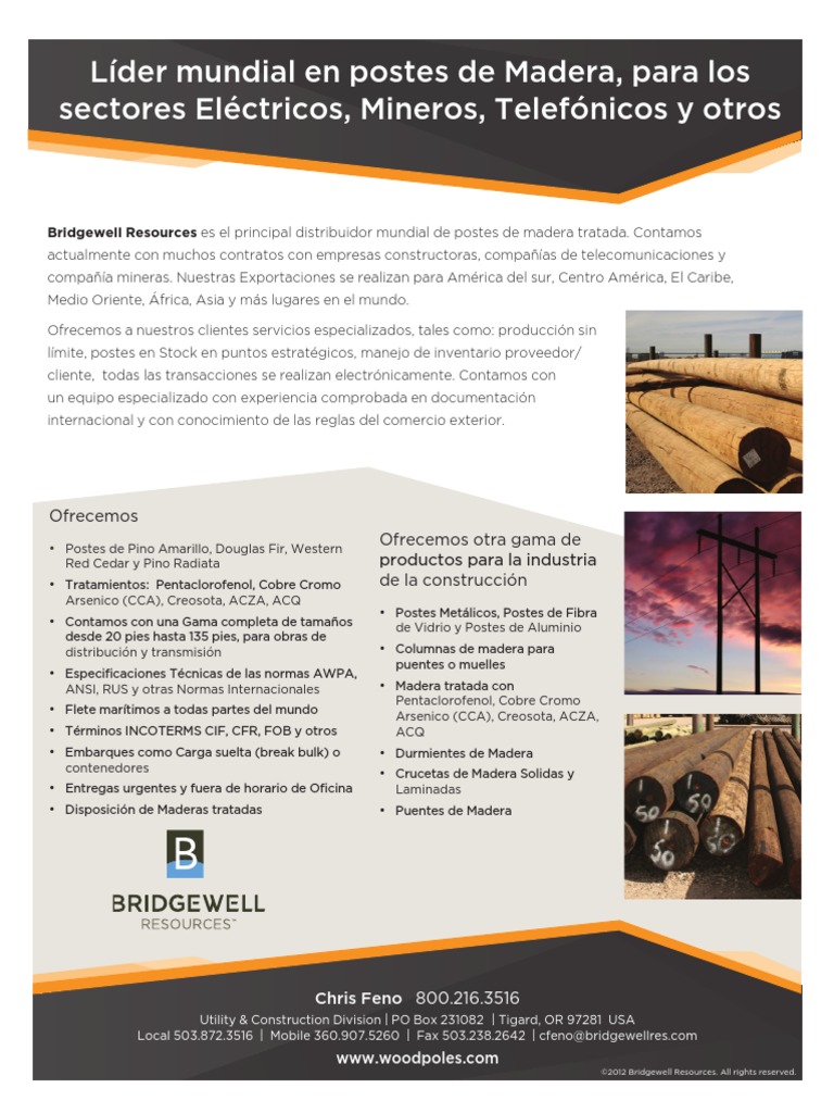 Utility Pole Flyer Feno Spanish | PDF | Economias
