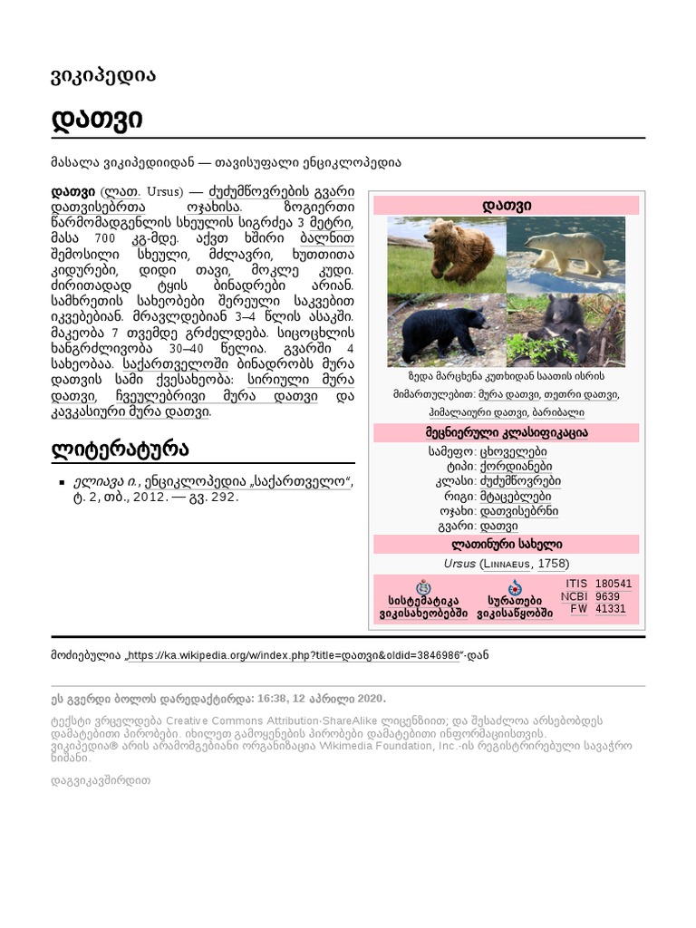 დათვი | PDF