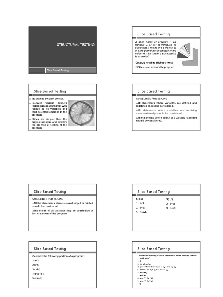 Slice Based Testing Double Black Pdf Software Testing Computer Science 