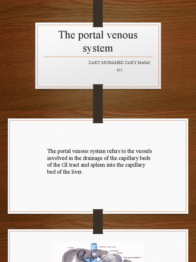 The Portal Venous System | PDF | Liver | Vein