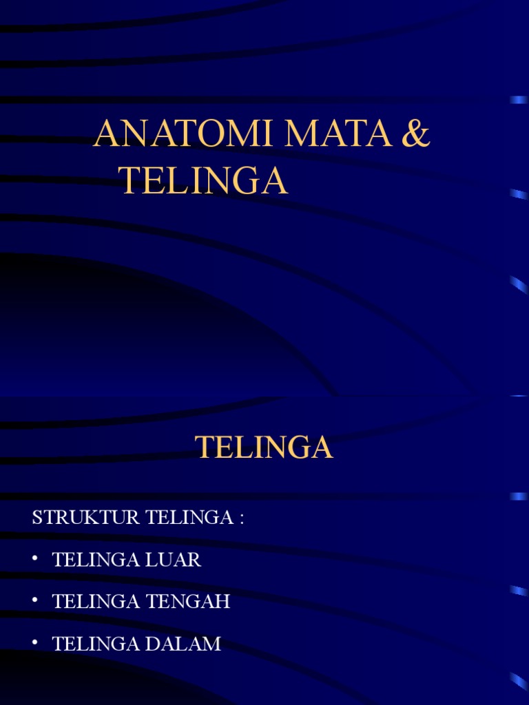 Anatomi Indera Mata Dan Telinga | PDF