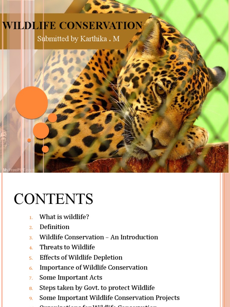 Wildlife Conservation | PDF | Conservation Biology | Wildlife
