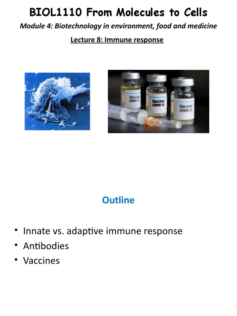 Understanding the Innate and Adaptive Immune Response: A Comprehensive ...