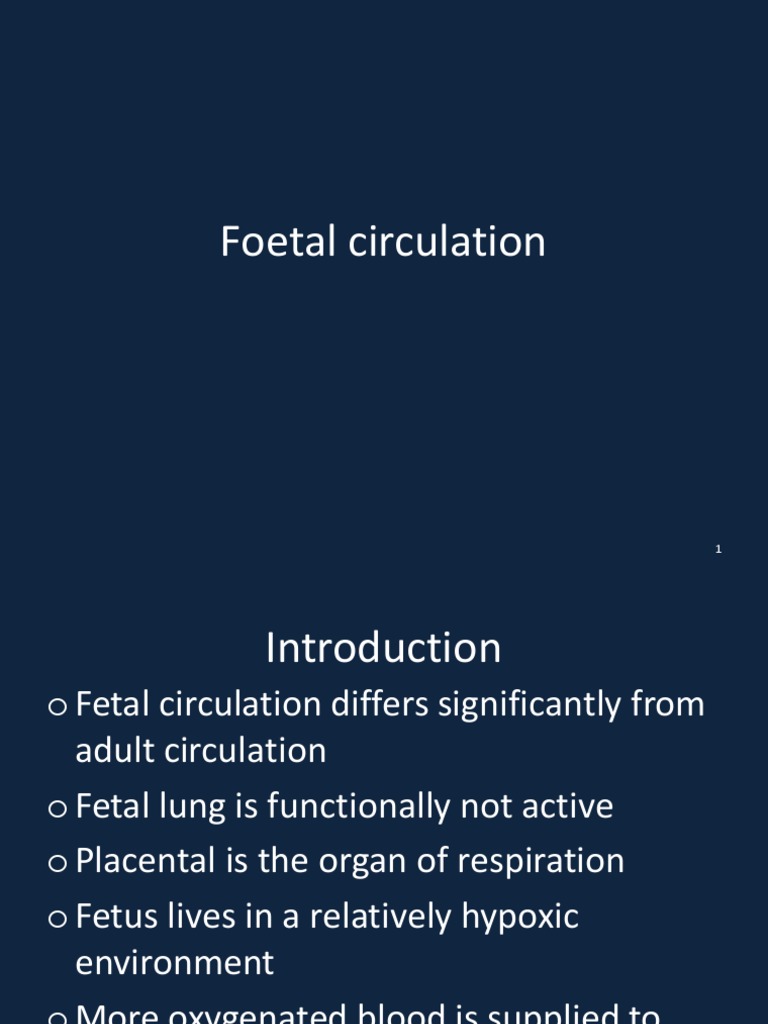 CVS Foetal Circulation | PDF | Fetus | Circulatory System