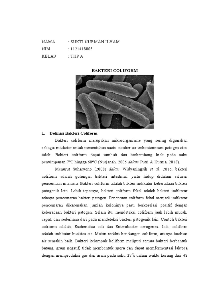 Bakteri Coliform | PDF