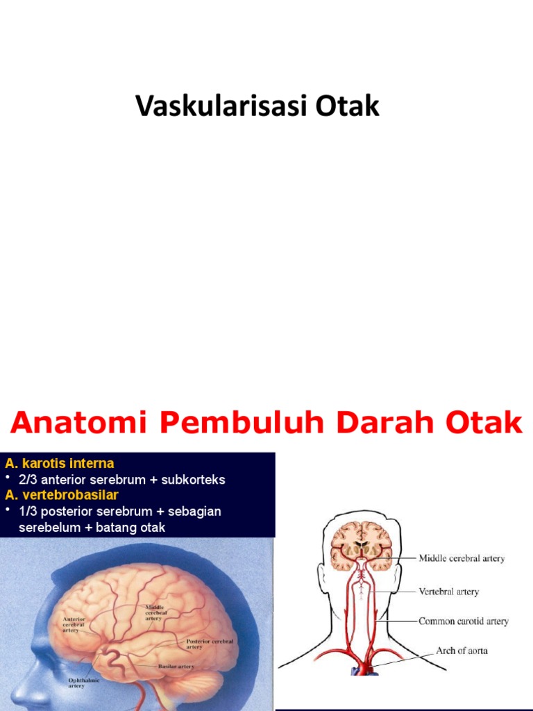 Vaskularisasi Otak | PDF