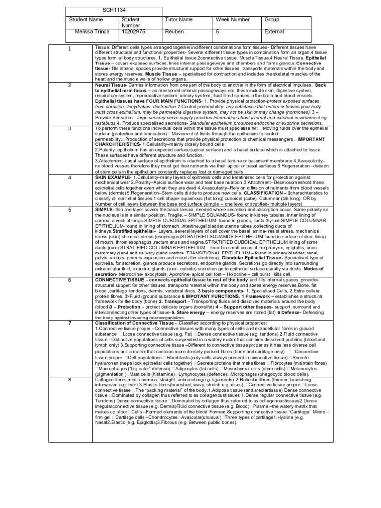 Worksheet 5 Epitheliel Connective | PDF | Epithelium | Connective Tissue