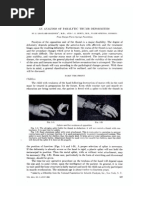 Hand - Extensor Tendon Repair Protocol PT (All) | PDF | Thumb | Hand