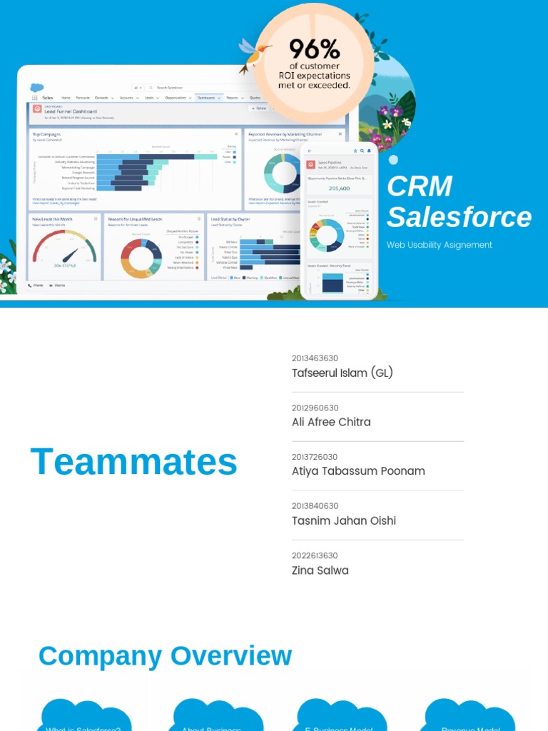 CRM Salesforce Web Assignment | PDF | Customer Relationship Management | Cloud Computing