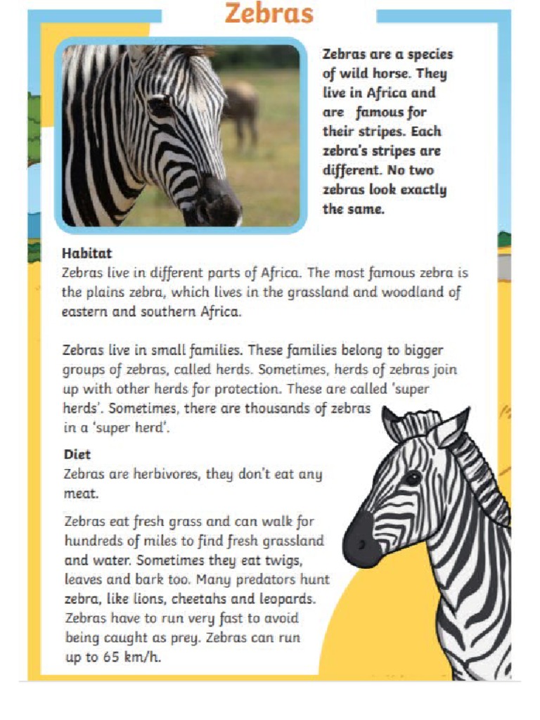 Non-Chronological Reports on Animals | PDF | Tiger | Elephant