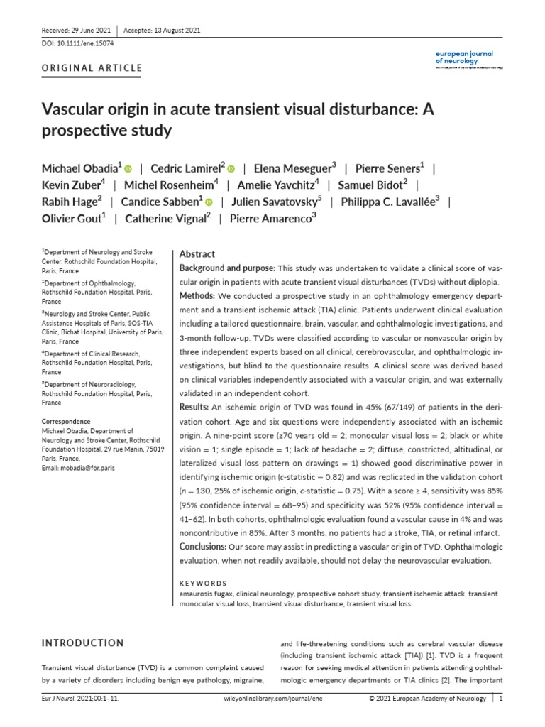 Vascular Origin in Acute Transient Visual Disturbance: A Prospective ...